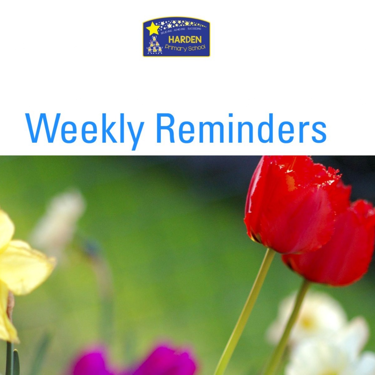 Harden Primary School - Weekly Reminders